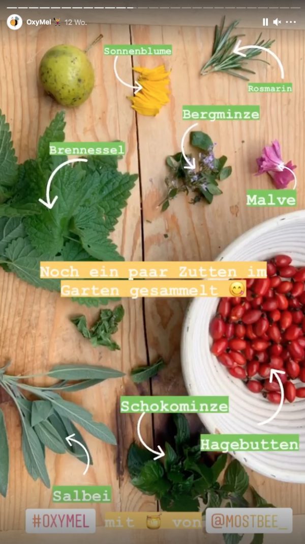 OxyMel #upcycling ‍ Hagebutten Chutney - mostbee