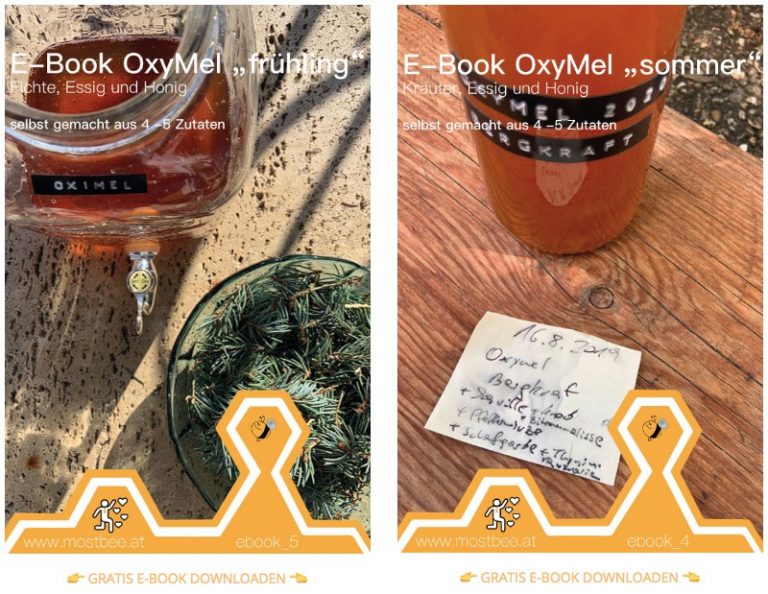 Löwenzahn OxyMel - Frühlingskraft - mostbee